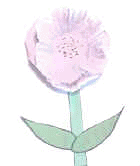 Mary, Mary, Quite Contrary